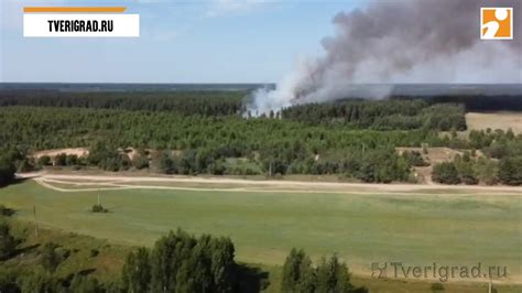 Wildfire Detection V2 Object Detection Dataset By Knitukai