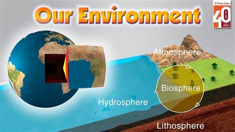 Our Environment Understanding The Biotic And Abiotic Components 3d