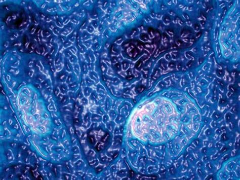 Visualization Challenge Making Unseen Worlds Visible New Scientist