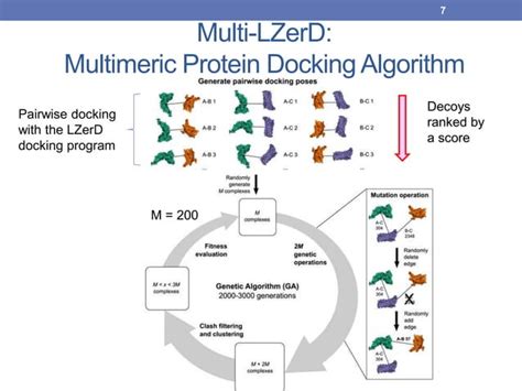 Predicting Assembly Order Of Multimeric Protein Complexes Ppt