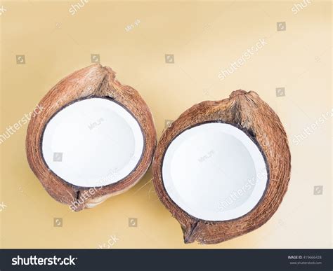 Mature Coconut Showing Inner Component Demonstration 스톡 사진 419666428