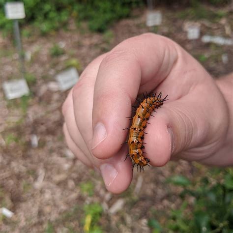 My Top 2 Favorite Quotes Of All Time By Sarah Medium