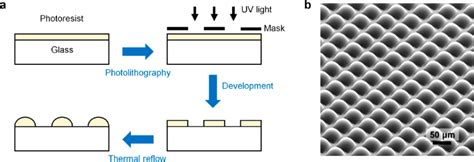 A Fabrication Process Of The Microlens Array B Scanning Electron