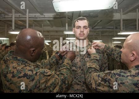 Sgt Major Jeffrey A Young Center Works With Headquarters And