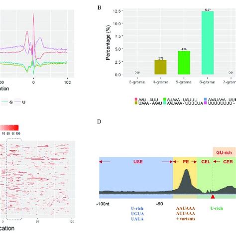 Characteristics Of Poly A Signals A Nucleotide Profiles Download Scientific Diagram