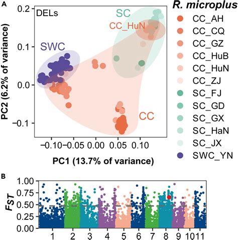 Cell Press Star Protocols