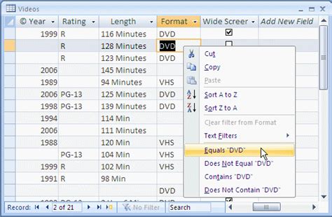 Microsoft Access Topics Filtering String Based Fields