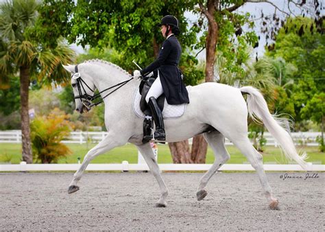 Francesca Nicoletti Equiflexsleeve