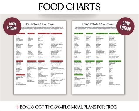 Fodmap Diet And Editable Grocery List Printable Pdf Low Fodmap Food