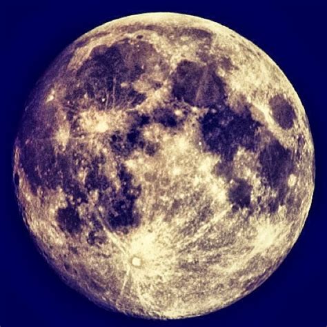 Marisel Contreras Youtube