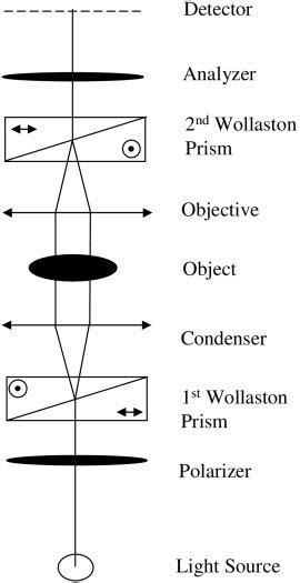 Diagram Of Principal Components Of Dic Microscope Download Scientific Diagram