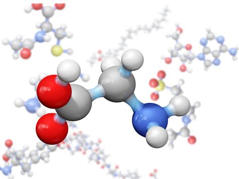 Amino Acids Nature S Building Blocks For Health