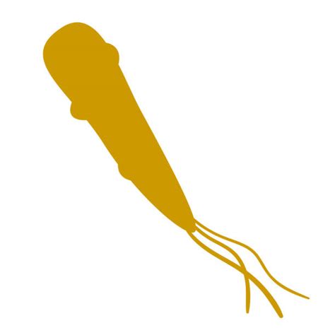 30 Tetanus Drawing Stock Illustrations Royalty Free Vector Graphics