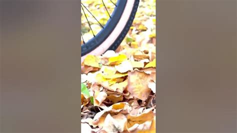 Велосипеды Time try - YouTube