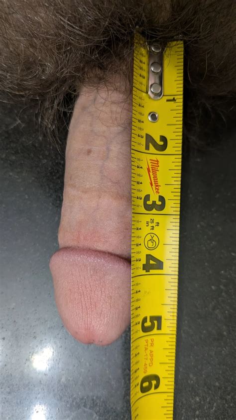 Measurements 2 Nude Pics XHamster