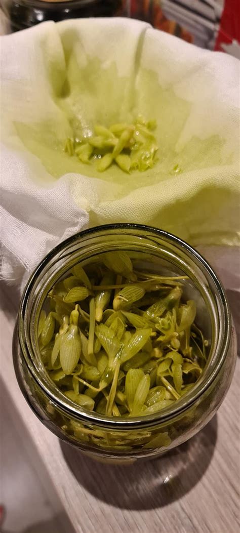 Фитотерапията е наука която изучавам от много дълго време и съм споделяла че много от