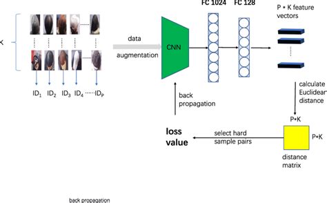Overall Network Architecture Diagram Download Scientific Diagram