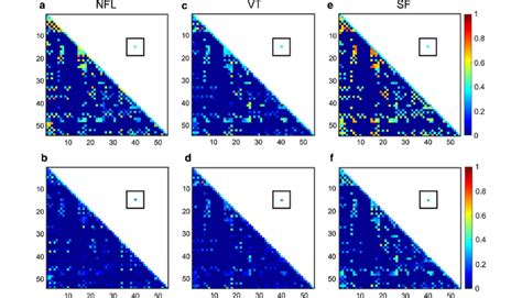Representative Response Feature Matrices That Encode Both Peak Maximum