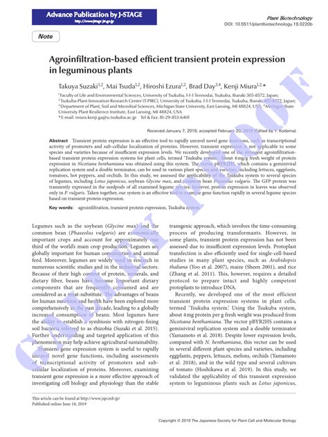 Pdf Agroinfiltration Based Efficient Transient Protein Expression In