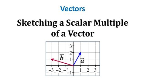 Graph A Scalar Multiple Of A Vector In 2d Youtube