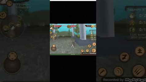 КАК Победить Босса Немецкую Овчарку в Симуляторе Кота Cat Sim Youtube