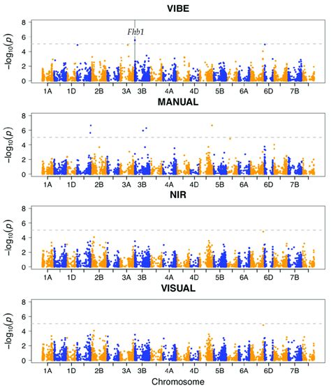 Manhattan Plots For Gwas Results Of Vibe Manual And Visual Using Blue Download Scientific