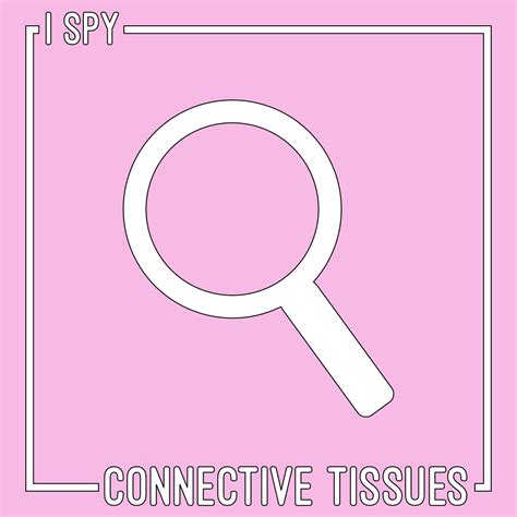 Connective Tissue I Spy Pathology And Ponies
