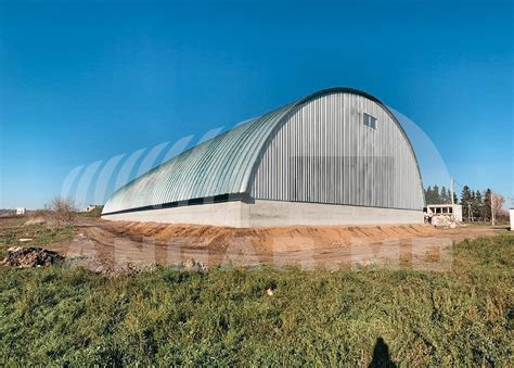 Munteanu Denis Leonid G Ț