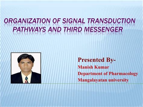Signal Transduction Process Ppt