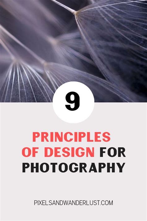 9 Design Elements You Should Use To Improve Your Photography Artofit
