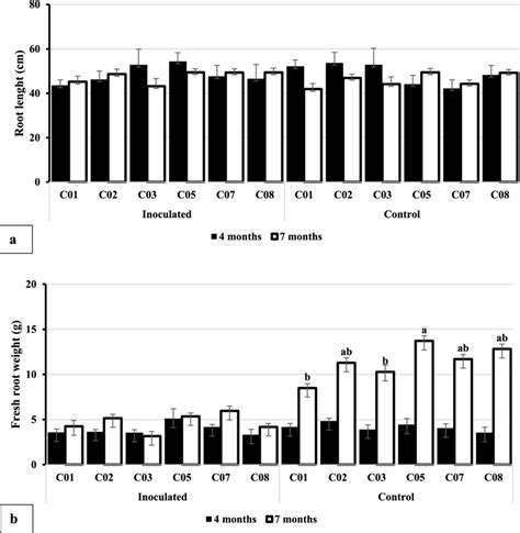 Effects Of Ganoderma Boninense Infection On Root Growth And Biomass Of Download Scientific