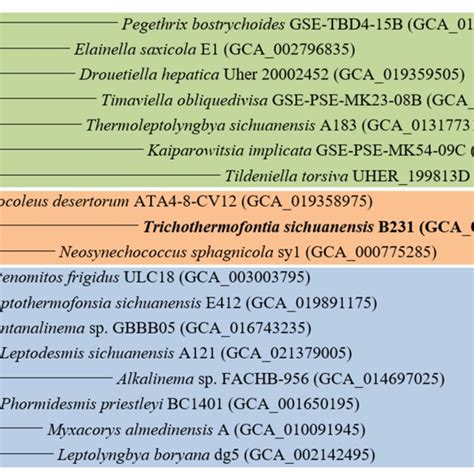 Ml Phylogenomic Inference Of Concatenated Protein Alignment Of 647 Download Scientific Diagram