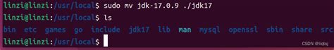 linux卸载jdk1 8版本安装jdk17版本 csdn博客