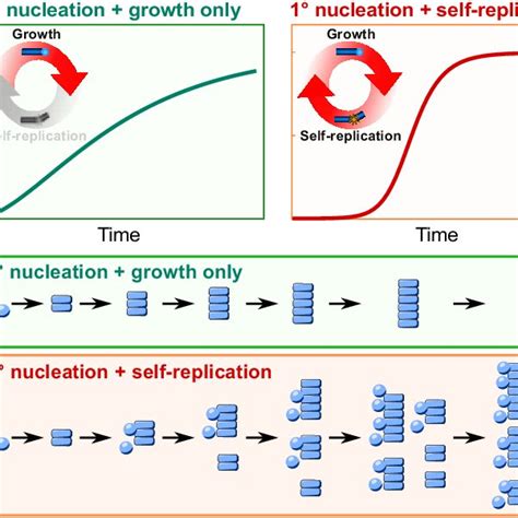 Effect Of Self Replication Illustration Of The Kinetic Curves Of Download Scientific Diagram