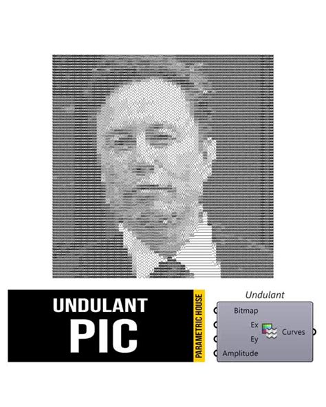 Mohammad Yazdi On Linkedin In This Grasshopper Example File You Can Morph Between Two Images