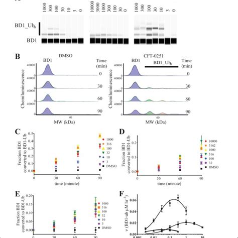A Protac Mediated Ternary Complex Formation And Hook Effect As A Download Scientific Diagram