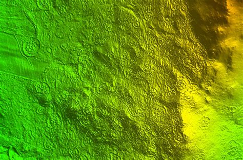 325 Questions With Answers In Qgis Science Topic