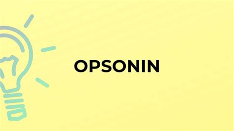 What Is The Meaning Of The Word Opsonin Youtube