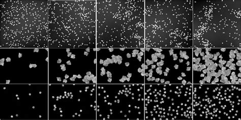 Ssrnet A Deep Learning Network Via Spatialbased Superresolution Reconstruction For Cell