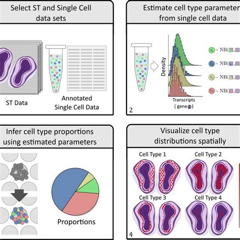 Schematic Overview Of Method Workflow Annotated Single Cell Data Download High