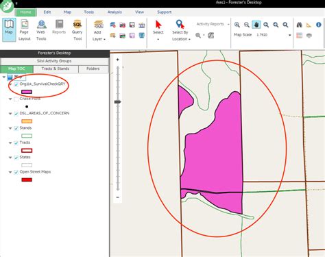 Symbology Workflow Silvics University