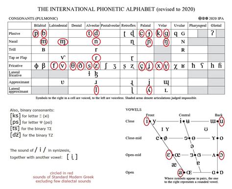 Ipa Chart With Examples Speech Therapy Ipa Resources Consonants