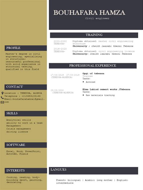 cv hamza english pdf