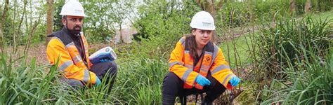 Edna Innovating For Efficiency In Species Monitoring Thomson