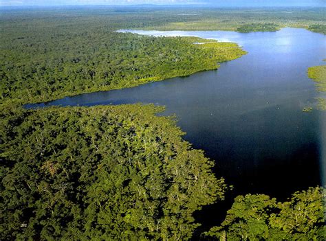 Rajang Mangroves National Park Memories And Such