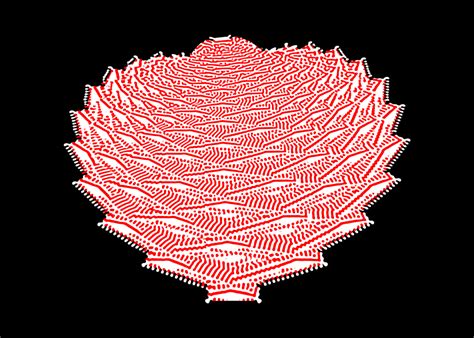 Recursive Shells — Daniel Lefcourt