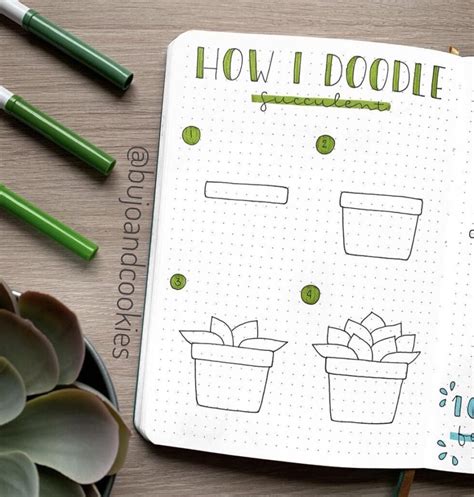 How To Draw Succulents With Easy Step By Step Tutorials