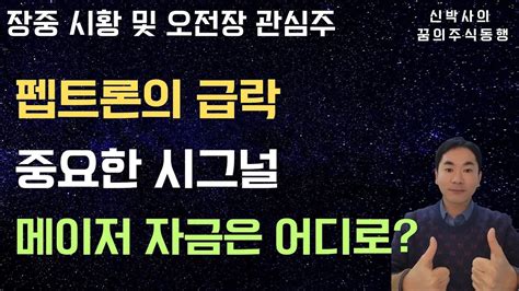 장중 시황 및 오전장 관심주 펩트론의 급락 중요한 시그널 메이저 자금은 어디로 Youtube