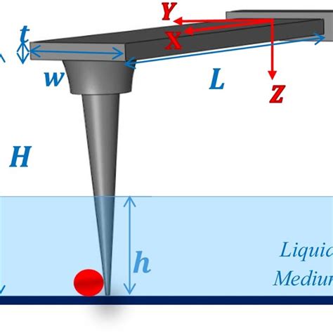 displacements of particle substrate and particle relative to