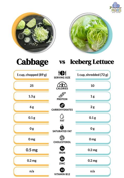 Cabbage Vs Iceberg Lettuce 5 Key Differences And A Nutritional Breakdown
